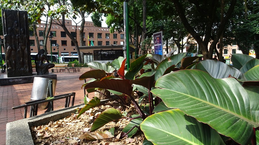 Medellin: que faire et que voir au barrio El Poblado? - ColombieConseil